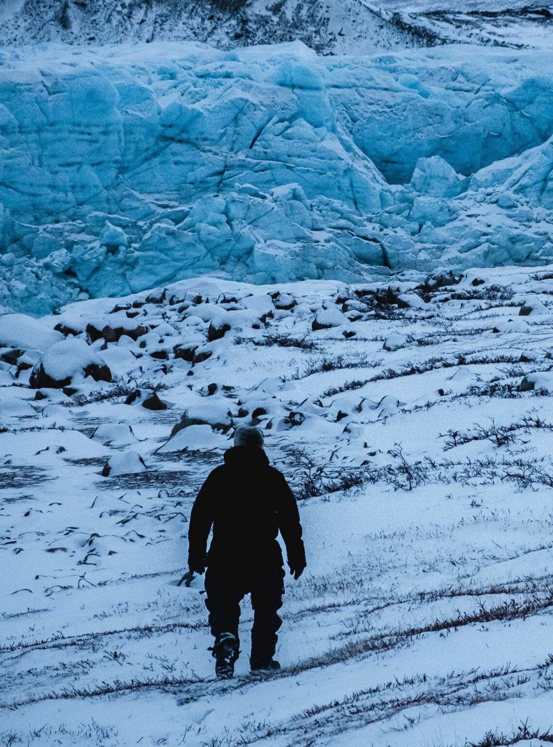 Ture i Kangerlussuaq - Sommer & vinter | Arctic Ice Tours